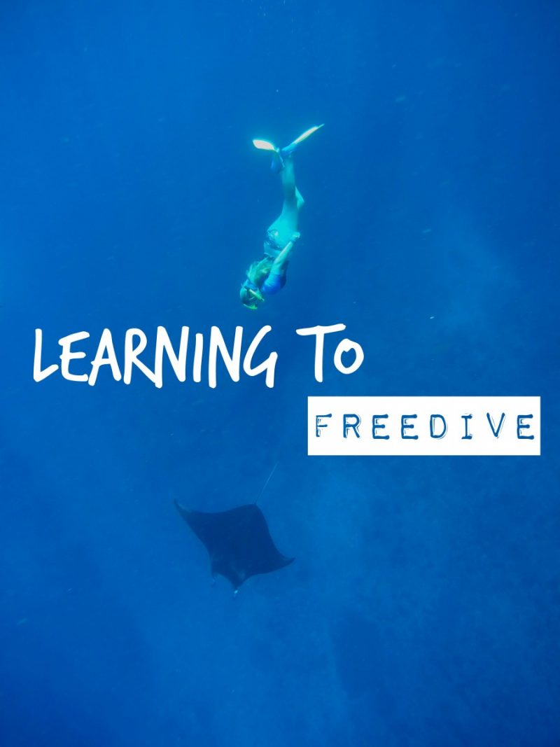 Learning To Freedive - My Freediving Course in the Philippines - Where ...