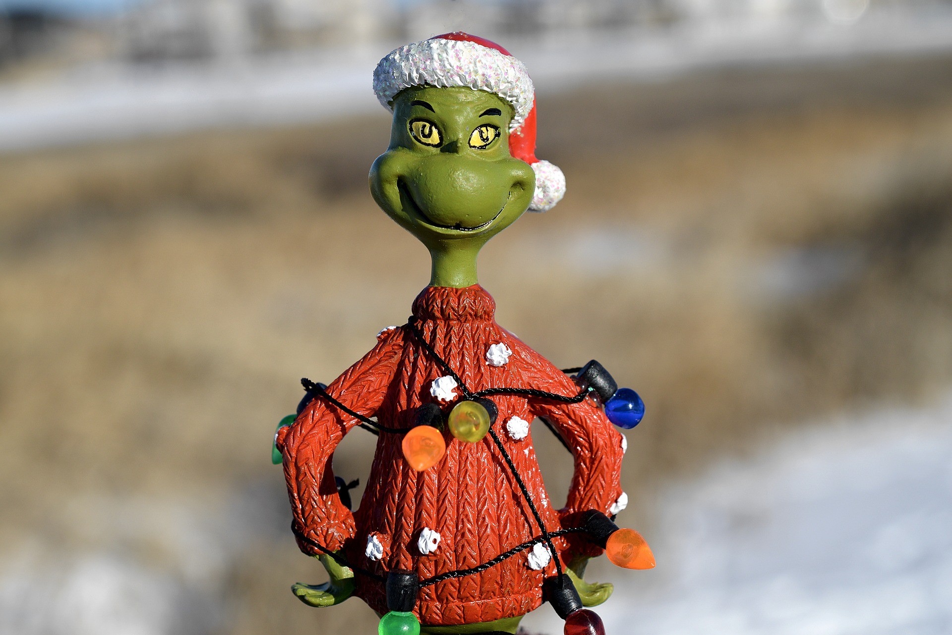 A Grinch's Guide to Christmas Shopping - Where Is Tara?